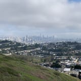 Mount Davidson, California - 971 Reviews, Map | AllTrails