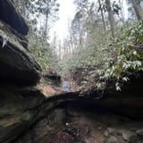 Red Byrd Arch, Kentucky - 265 Reviews, Map | AllTrails