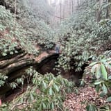 Red Byrd Arch, Kentucky - 265 Reviews, Map | AllTrails