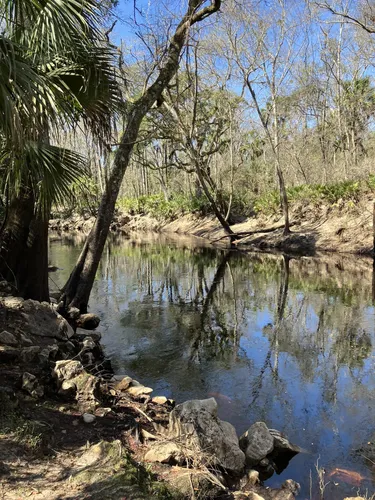 Best Hikes and Trails in Aucilla Wildlife Management Area | AllTrails