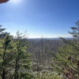 Elk Neck State Forest Trails, Maryland - 257 Reviews, Map | AllTrails