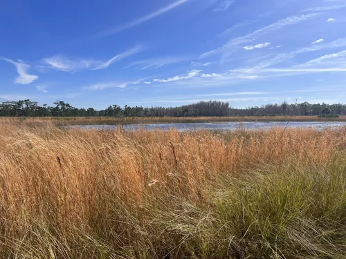 Best Hikes and Trails in Disney Wilderness Preserve | AllTrails