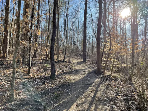 Best Hikes and Trails in West Branch Nature Preserve | AllTrails