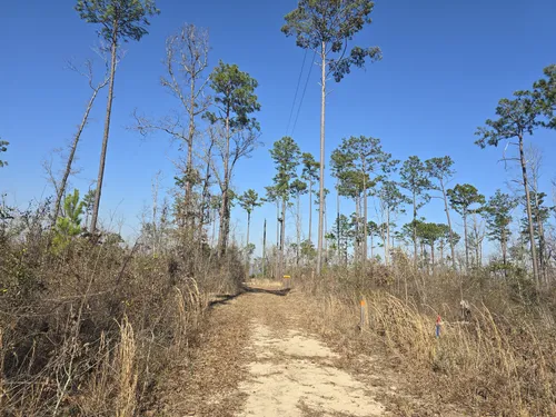 Best Hikes and Trails in Three Rivers State Park | AllTrails