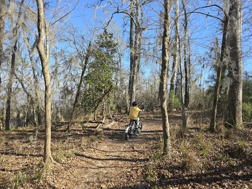 Best Hikes and Trails in Three Rivers State Park | AllTrails