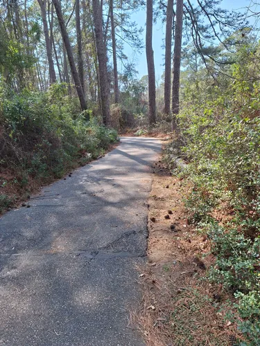 Best Hikes and Trails in Myrtle Beach State Park | AllTrails