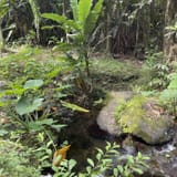 Makiki Valley Loop, Oahu, Hawaii - 5,558 Reviews, Map | AllTrails