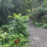 Makiki Valley Loop, Oahu, Hawaii - 5,558 Reviews, Map | AllTrails