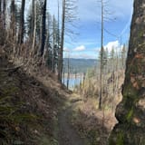 Oneonta Trail and Gorge Trail (Short Option), Oregon - 672 Reviews, Map ...