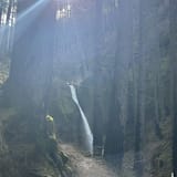 Oneonta Trail and Gorge Trail (Short Option), Oregon - 672 Reviews, Map ...
