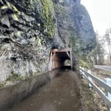 Oneonta Trail and Gorge Trail (Short Option), Oregon - 672 Reviews, Map ...