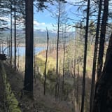 Oneonta Trail and Gorge Trail (Short Option), Oregon - 672 Reviews, Map ...
