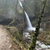Oneonta Trail and Gorge Trail (Short Option), Oregon - 672 Reviews, Map ...