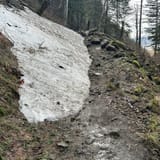 Oneonta Trail and Gorge Trail (Short Option), Oregon - 672 Reviews, Map ...