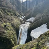 Oneonta Trail and Gorge Trail (Short Option), Oregon - 672 Reviews, Map ...