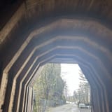 Oneonta Trail and Gorge Trail (Short Option), Oregon - 672 Reviews, Map ...