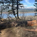 Oneonta Trail and Gorge Trail (Short Option), Oregon - 749 Reviews, Map ...