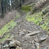 Oneonta Trail and Gorge Trail (Short Option), Oregon - 749 Reviews, Map ...