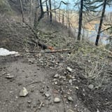 Oneonta Trail and Gorge Trail (Short Option), Oregon - 749 Reviews, Map ...