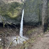 Oneonta Trail and Gorge Trail (Short Option), Oregon - 749 Reviews, Map ...