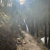 Oneonta Trail and Gorge Trail (Short Option), Oregon - 749 Reviews, Map ...