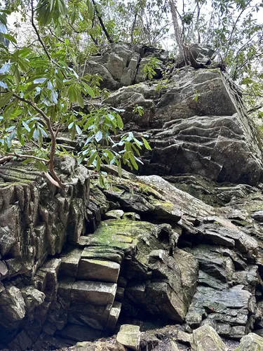 Best Hikes and Trails in Cherokee Indian Reservation | AllTrails