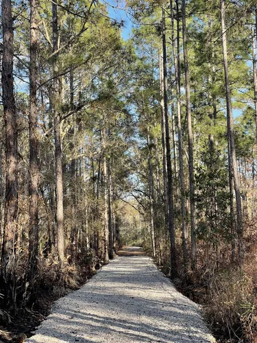 Best Hikes and Trails in Hal Scott Preserve | AllTrails