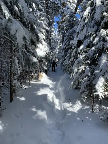 Best Dog Friendly Trails in Mount Chase | AllTrails