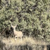 Tejas Trail and McKittrick Ridge, Texas - 34 Reviews, Map | AllTrails