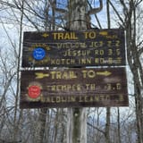 Mount Tremper Trail, New York - 1,536 Reviews, Map | AllTrails