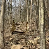 Mount Tremper Trail, New York - 1,536 Reviews, Map | AllTrails