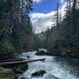 Staircase Rapids Loop, Washington - 2,443 Reviews, Map | AllTrails