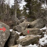 Artist Bluff Trail, New Hampshire - 4,393 Reviews, Map | AllTrails