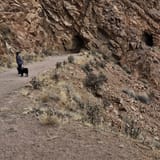 Tunnel Drive Trail, Colorado - 1,151 Reviews, Map | AllTrails