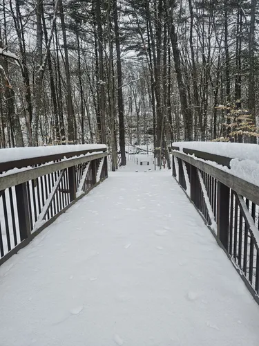 Best Hikes and Trails in Shale Hollow Park | AllTrails