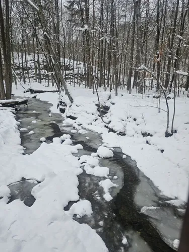 Best Hikes and Trails in Shale Hollow Park | AllTrails