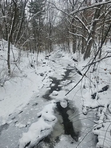 Best Hikes and Trails in Shale Hollow Park | AllTrails