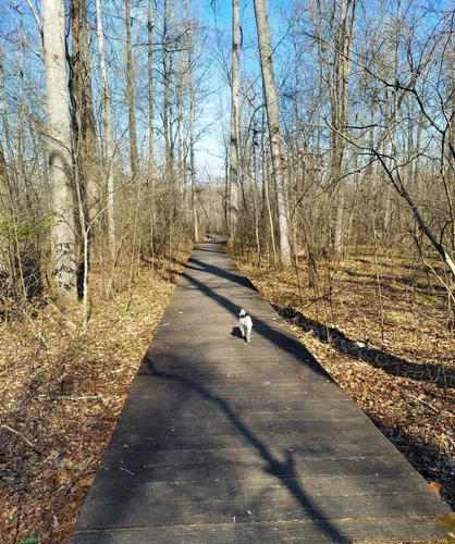 Best Hikes and Trails in Browns Summit | AllTrails