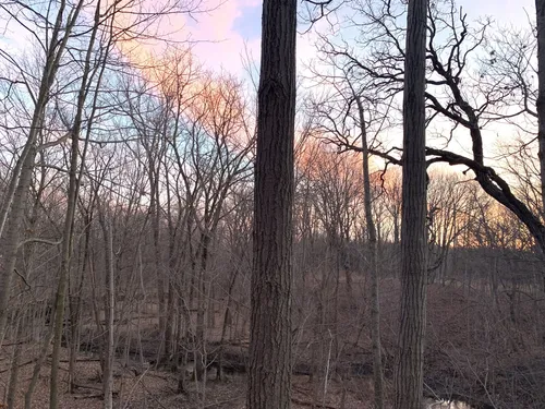 Best Hikes and Trails in Hawthorne Hollow Nature Center | AllTrails