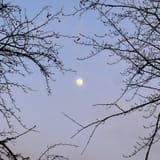 Lake Como Loop Trail, Minnesota - 1,004 Reviews, Map | AllTrails