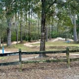 Cross Florida Greenway Trail: Santos to CR 200, Florida - 746 Reviews ...