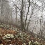 Jackson Trail, Pennsylvania - 196 Reviews, Map | AllTrails