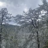 Rock Bridge Trail, Kentucky - 3,212 Reviews, Map | AllTrails