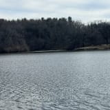 Pierce Lake Trail, Illinois - 801 Reviews, Map | AllTrails