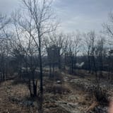 Middlesex Fells Reservation Loop Trail, Massachusetts - 527 Reviews ...