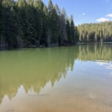 Jenkinson Lake Loop, California - 2,450 Reviews, Map | AllTrails