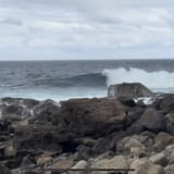 Shipsterns Bluff Loop, Tasmania, Australia - 81 Reviews, Map | AllTrails