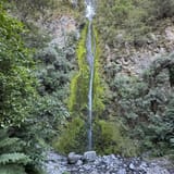 Dog Stream Waterfall via Waterfall Track, Canterbury, New Zealand - 169 ...