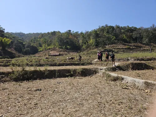 Best Hikes and Trails in Mae Wang National Park | AllTrails