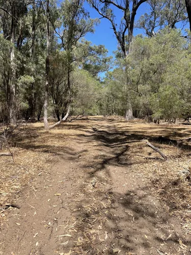 Best Hikes and Trails in Tuart Forest National Park | AllTrails